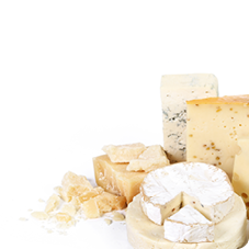 Home | B2B Esselunga